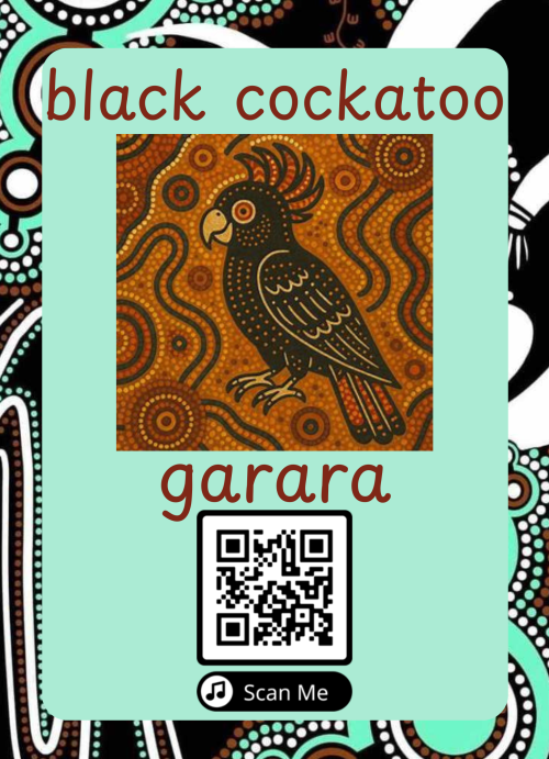 Yuggera Playing Cards - Flora/Fauna - Black Cockatoo Education